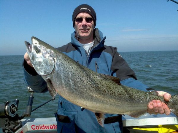 Coho Salmon Fishing - St Joseph Charters